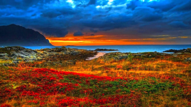 Eng chiroyli rasmlar